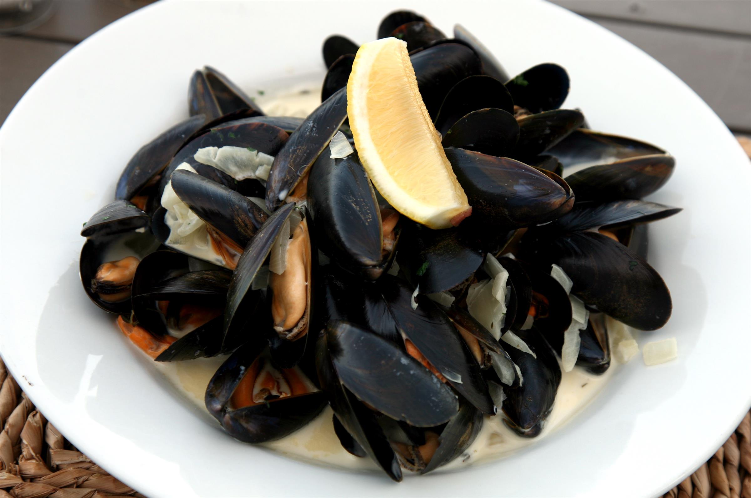 Main Menu - The Bridge at Mount Batten